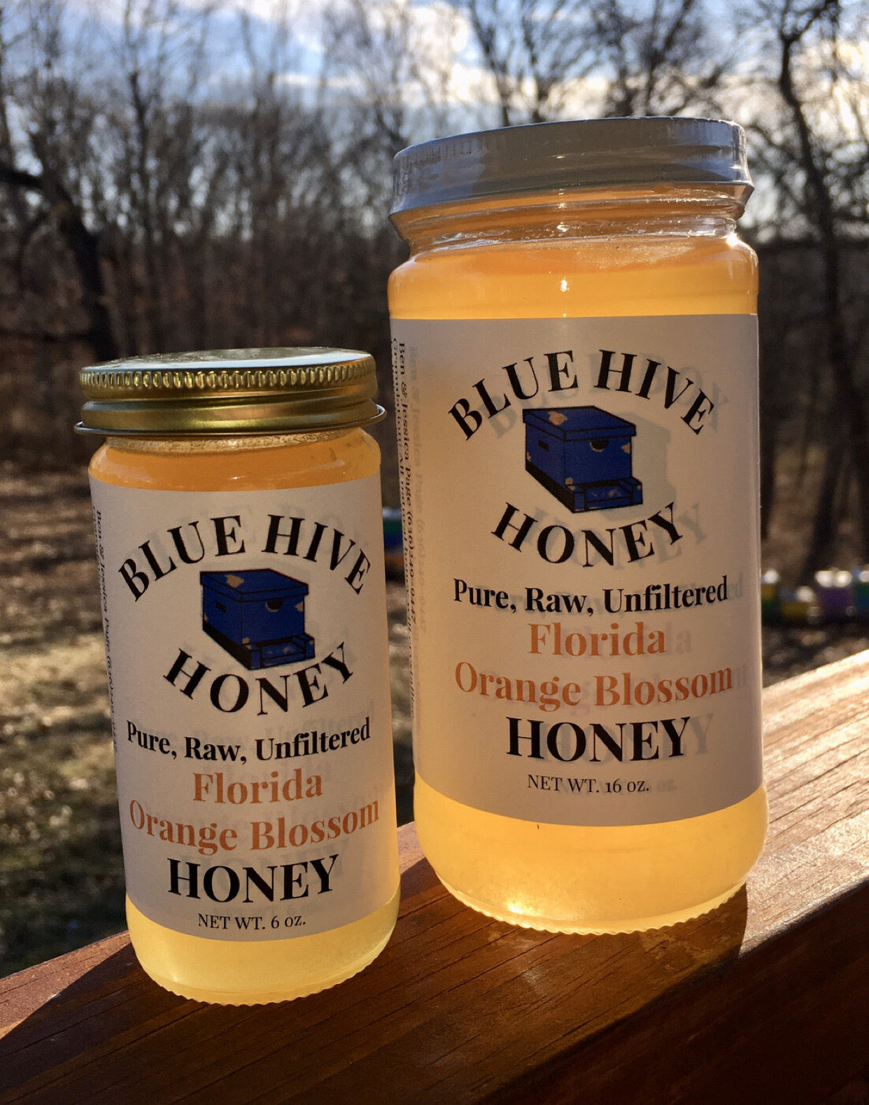Florida Orange Blossom – bluehivehoney